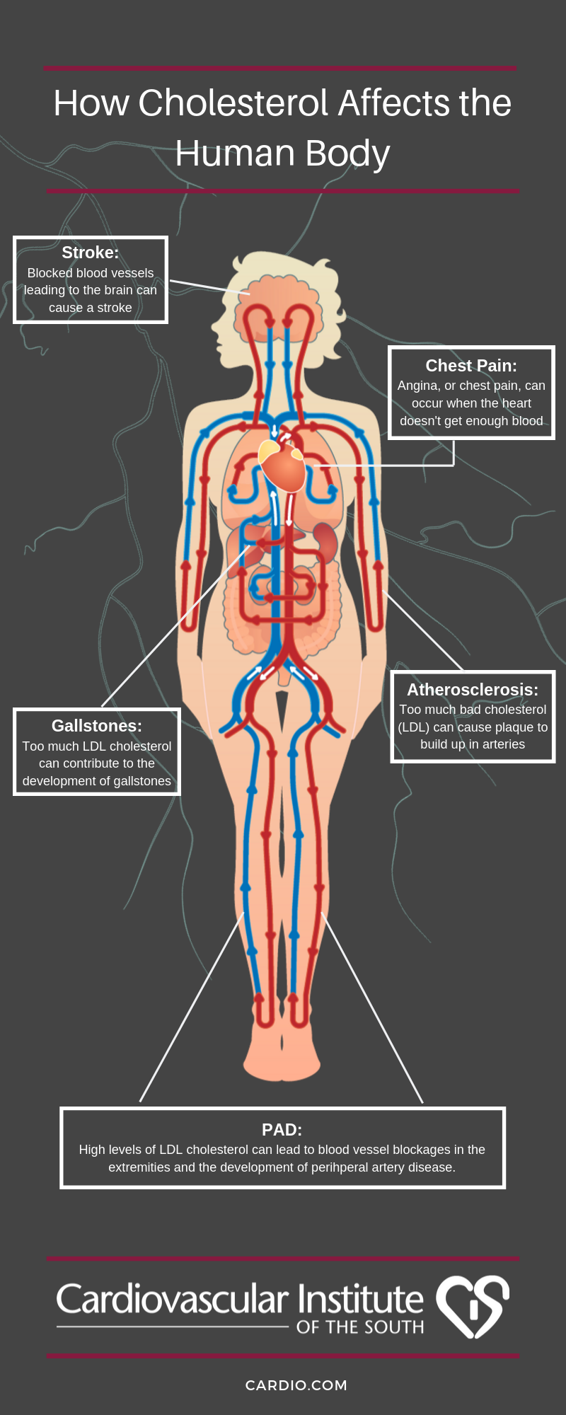 Infographic: How Cholesterol Affects Your Body - Cardio Institute