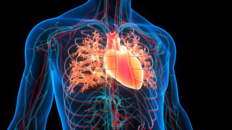 Congestive Heart Failure: Types & Stages | CIS